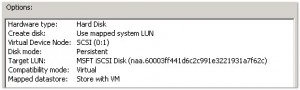 All about RDM - Raw Device Mappings - buildVirtual