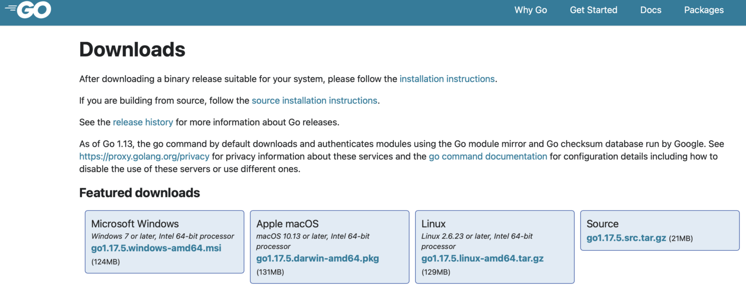 How to Install Go on Ubuntu 20.04 - buildVirtual